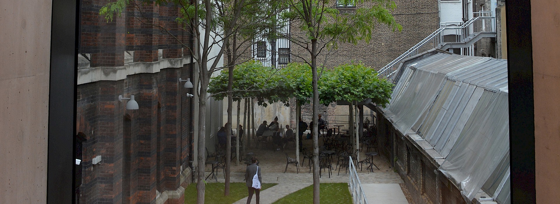 Gleditsia triacanthos 'Skyline' | Gleditsia triacanthos 'Skyline' - Van ...